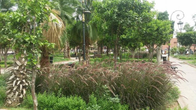 Jardins Marrakech | Les Plus Beaux: Majorelle, Agdal, Ménara, Koutoubia